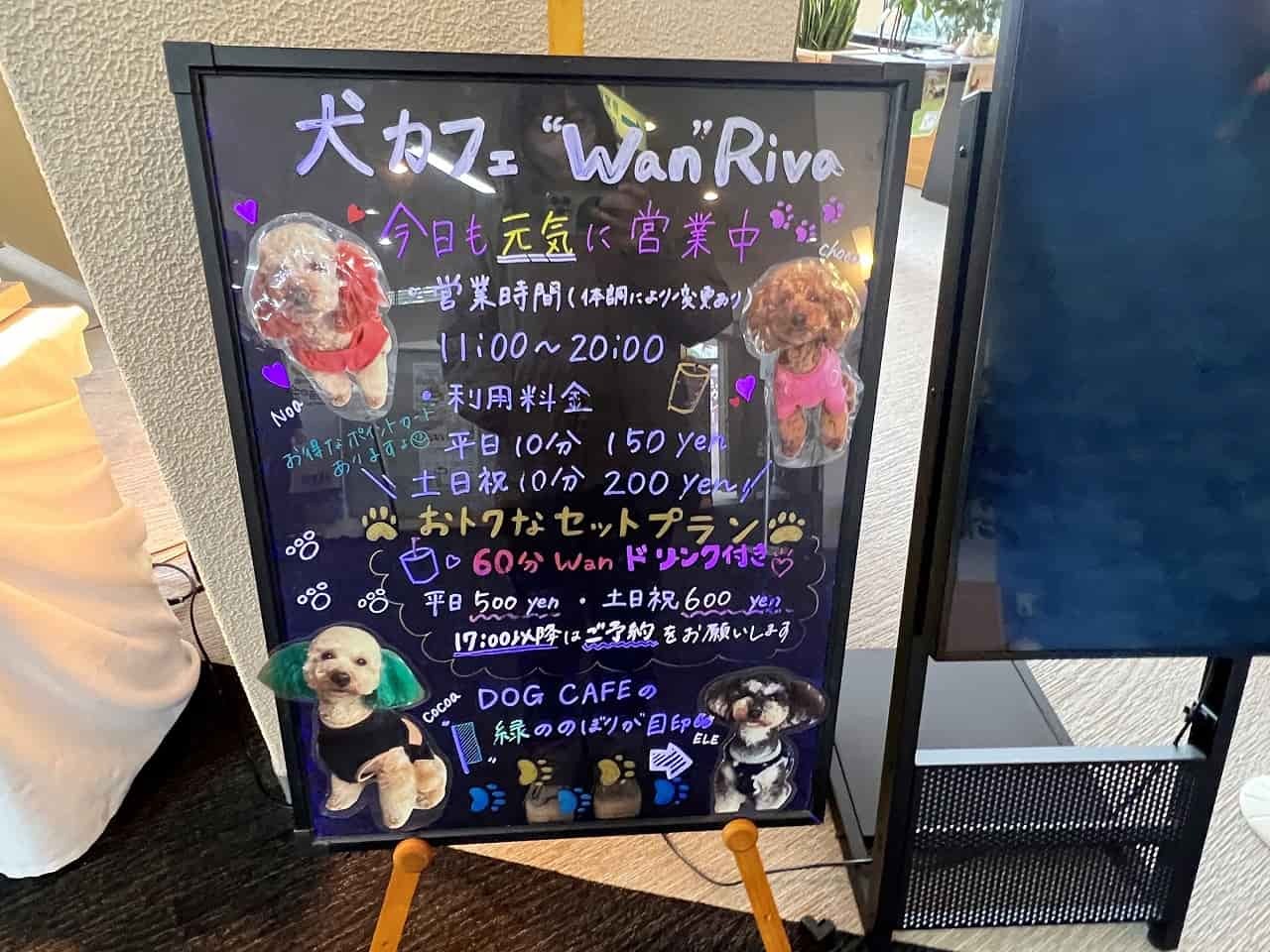 一緒に遊ぼう！松江のドッグカフェ『Wan Riva』で可愛いプードルと遊んできた｜日刊Lazuda(ラズダ) - 島根・鳥取を知る、見る ...