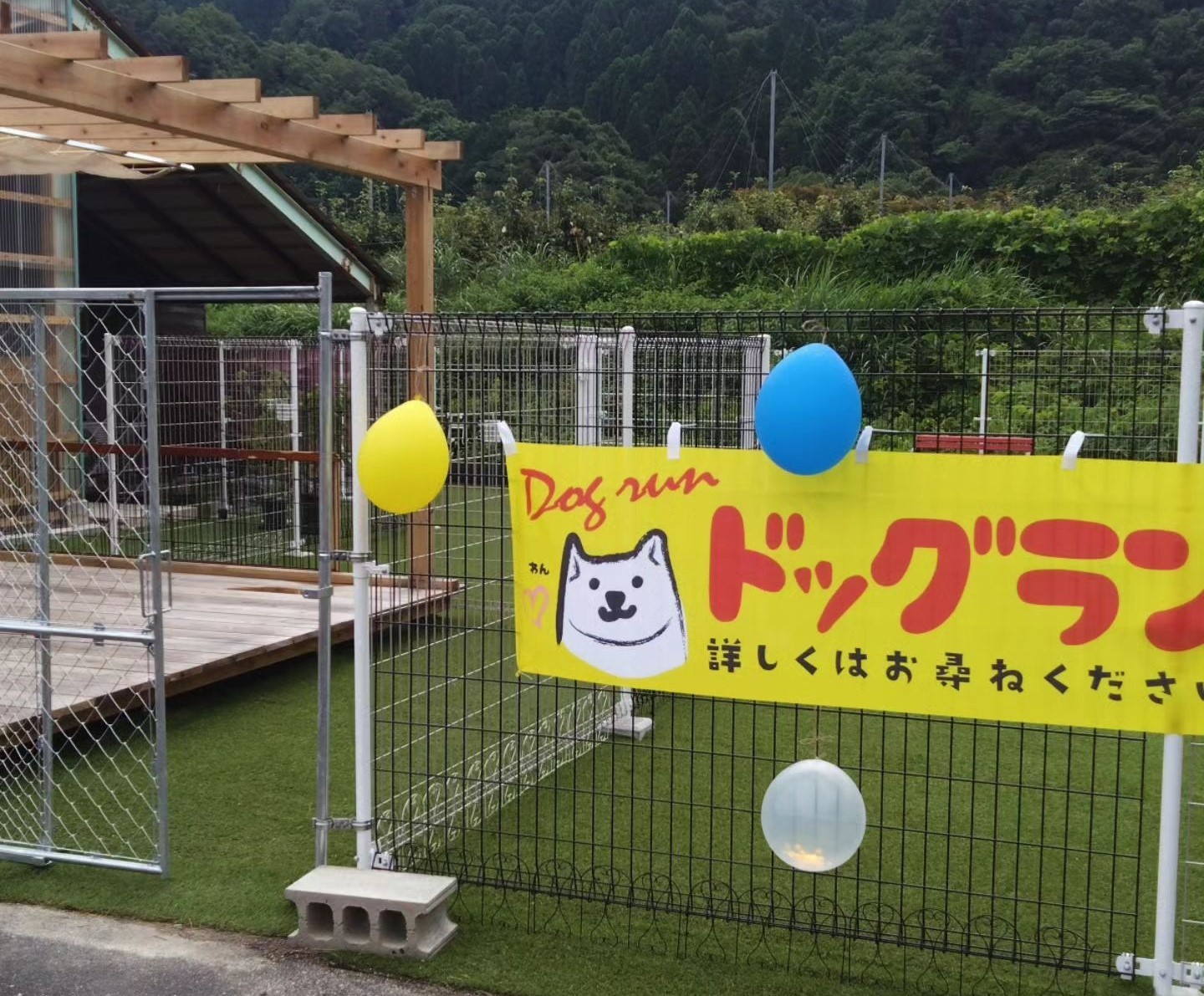 三朝町にドックカフェ『Dog cafe Riku と Mugi』誕生！ドッグランも併設｜日刊Lazuda(ラズダ) - 島根・鳥取を知る、見る ...